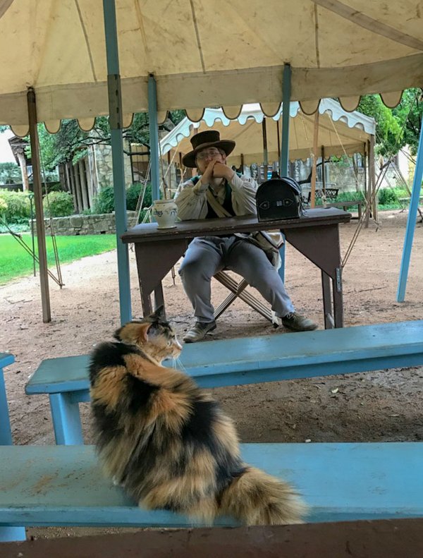 Bella the Alamo Cat | The Alamo