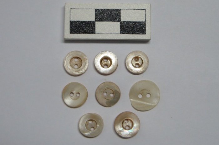 Artifact Spotlight — 19th Century Shell Buttons | The Alamo