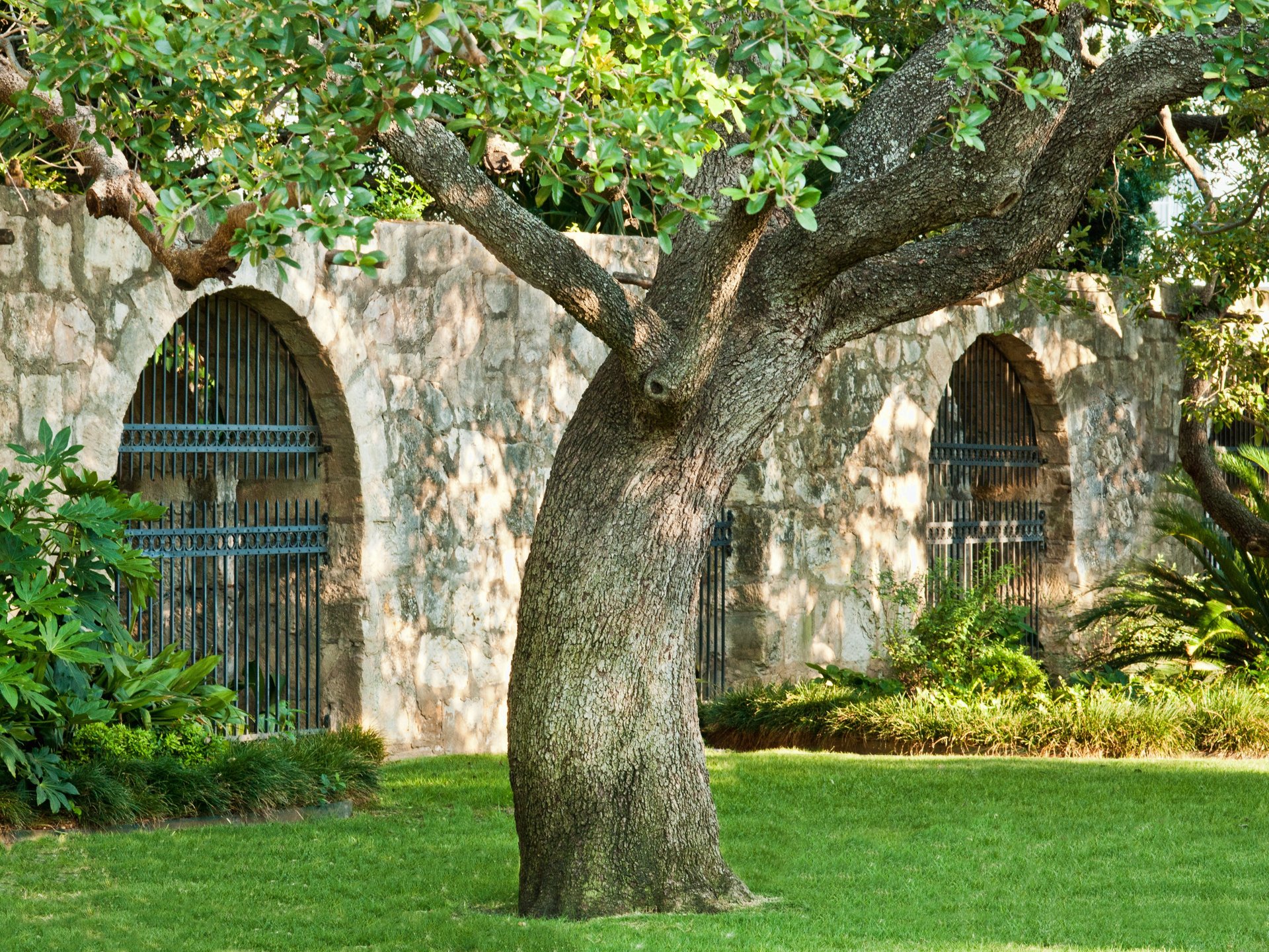 Visit the Alamo | The Alamo