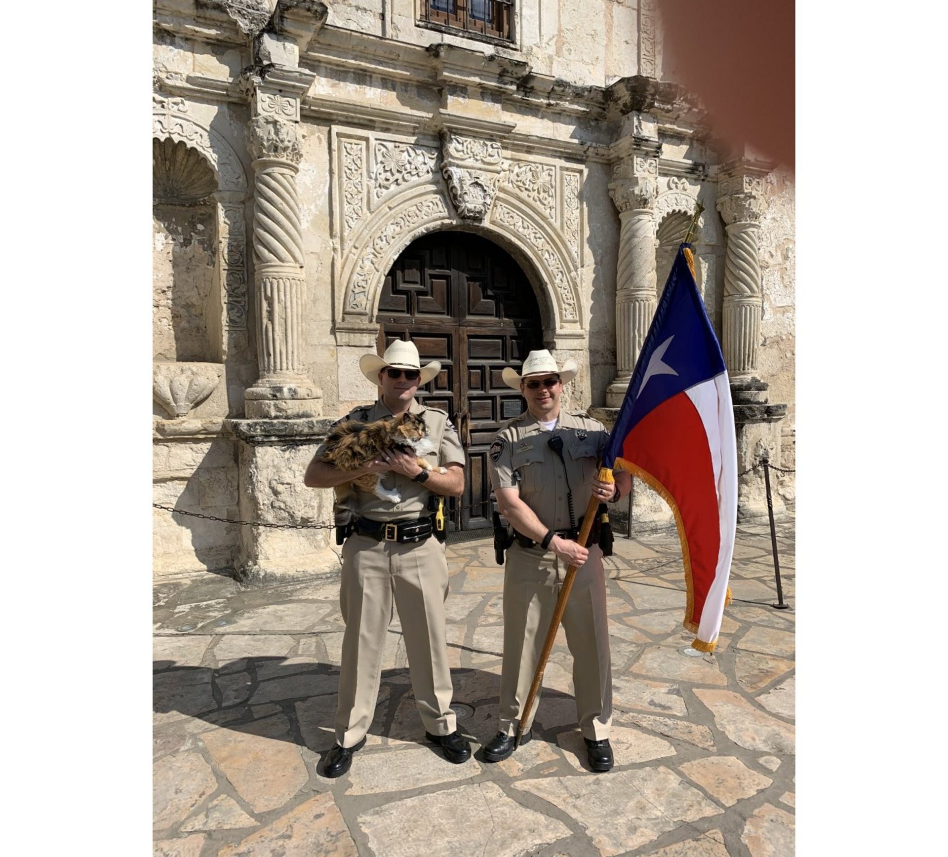 Bella the Alamo Cat | The Alamo