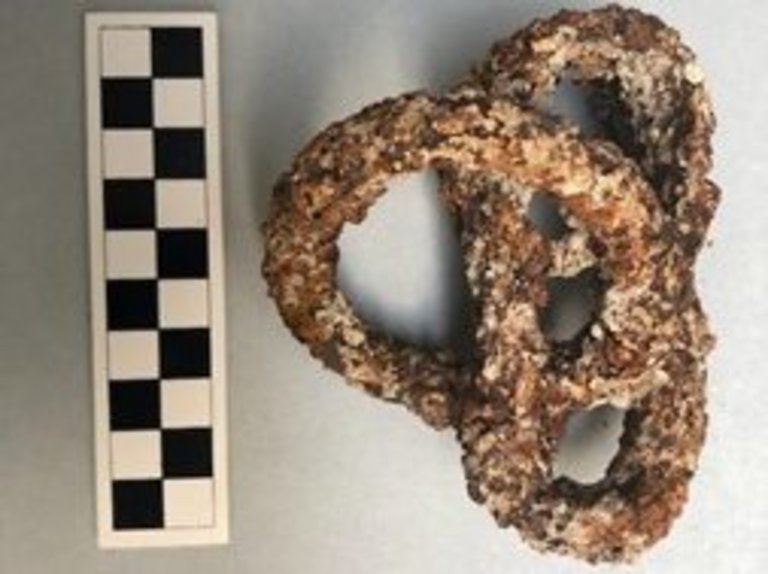 Texas Archaeology Month at the Alamo - Week Three | The Alamo