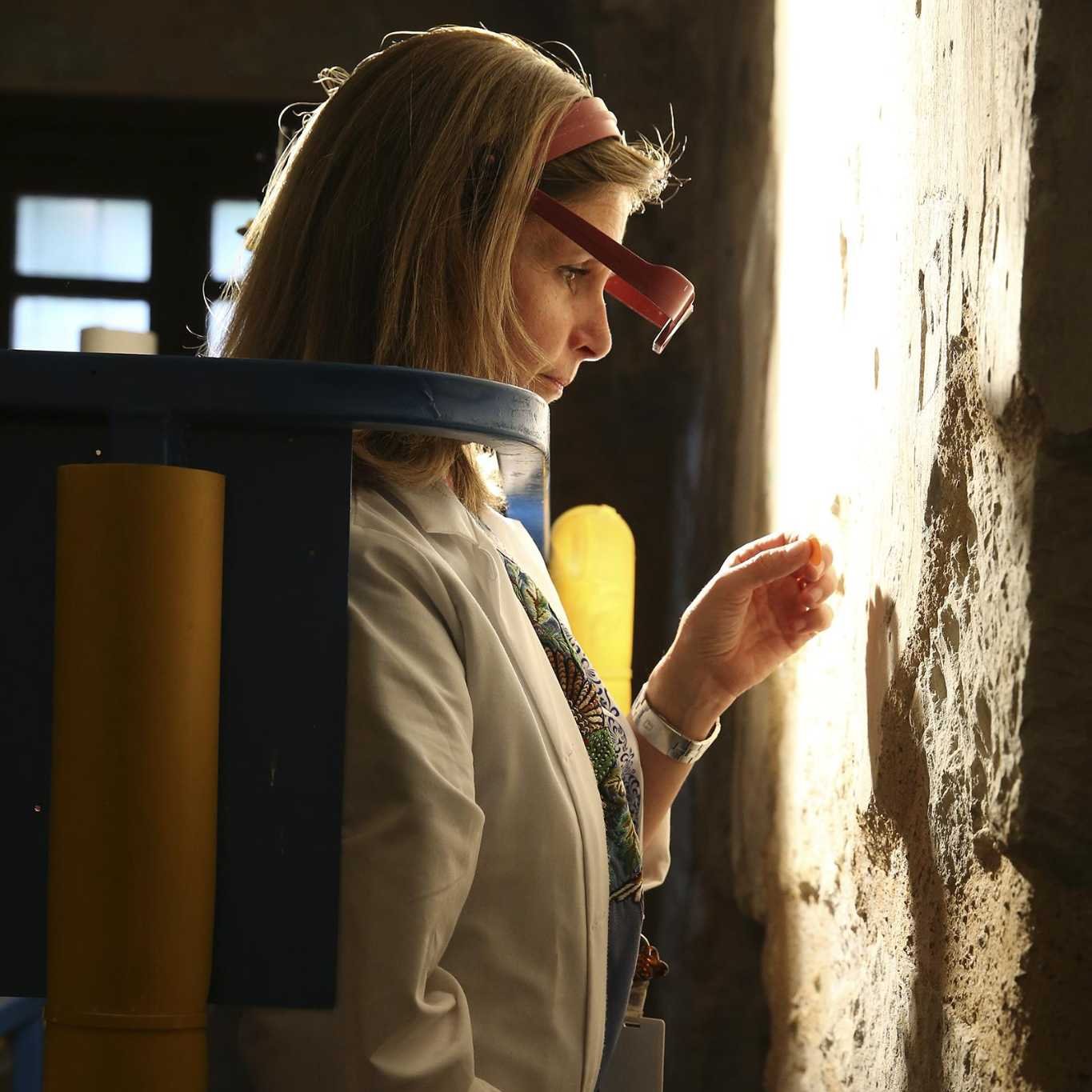 Support the Alamo | The Alamo