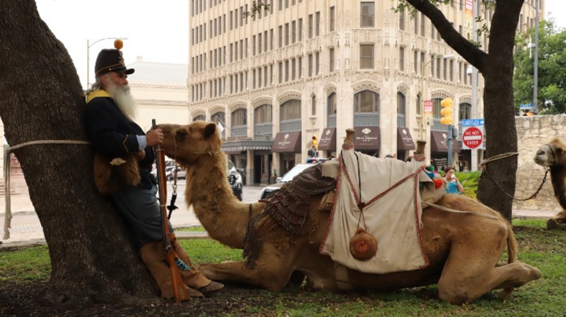 Texas Camel Corps Visits the Alamo | The Alamo