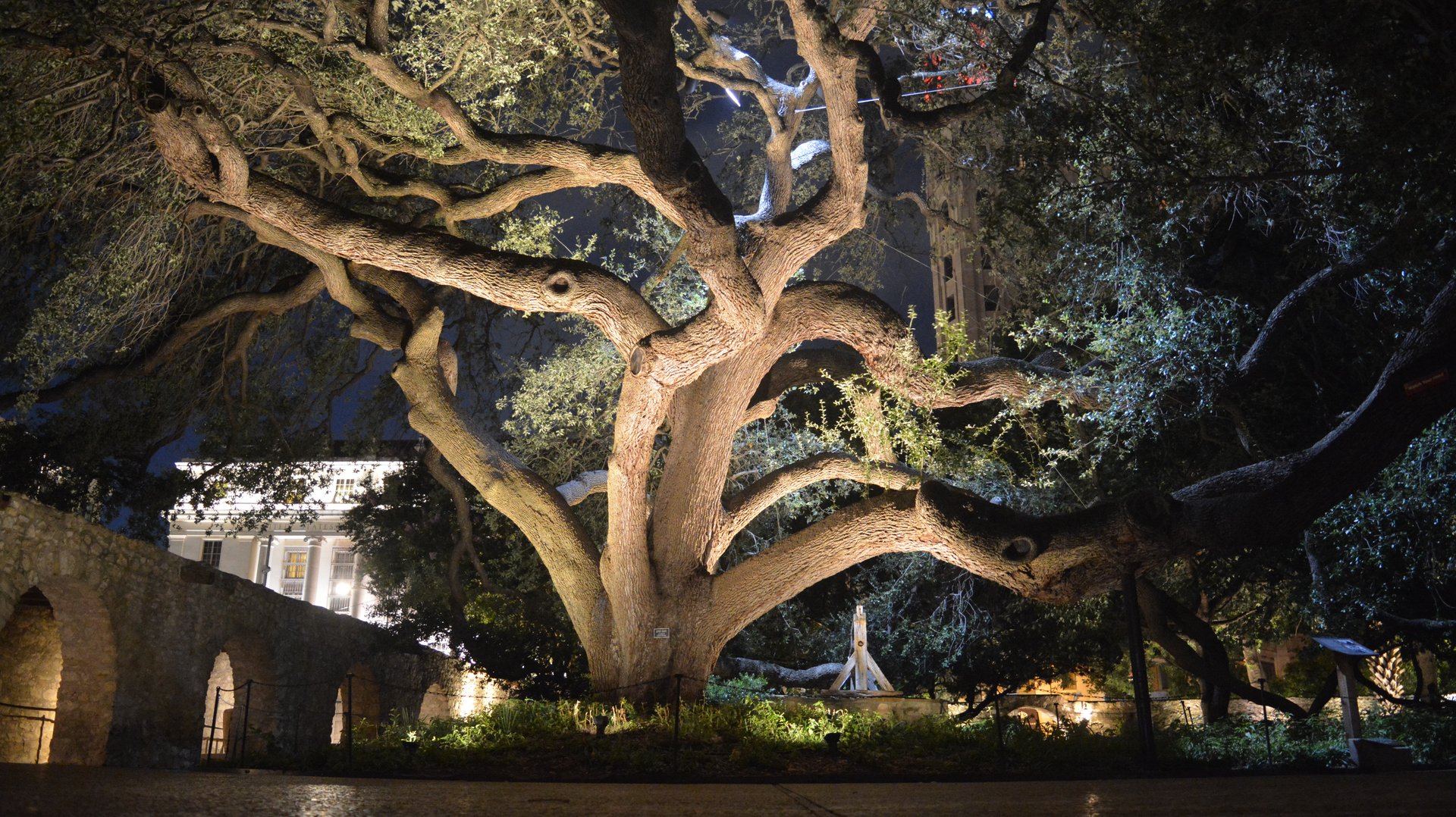 Alamo After Dark | The Alamo